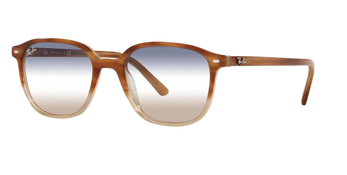 Gafas de sol Ray-Ban ® Leonard RB2193 901/58 en MisGafasDeSol