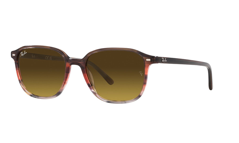 Gafas de sol Ray-Ban ® Leonard RB2193 902/57 en MisGafasDeSol